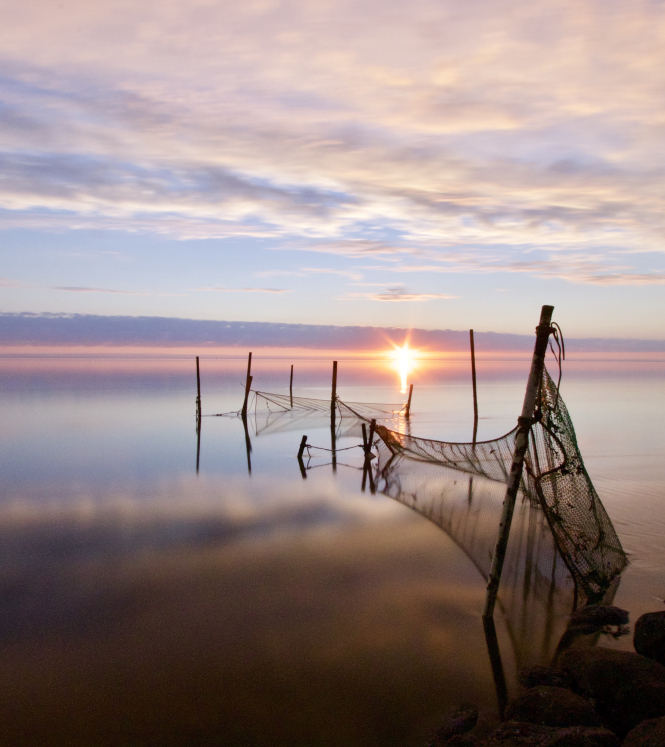 Aquatics Centre Paris Olympics 2024: Cecilia Gross's sustainable sports architecture | NL Platform